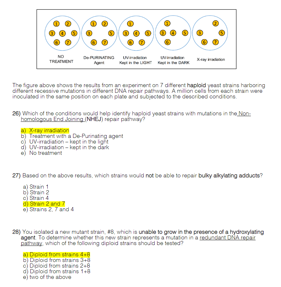 Solved Please note that the highlighted answers are | Chegg.com
