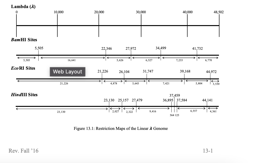 Solved J11! 11 I III! II III8. The following table shows the | Chegg.com