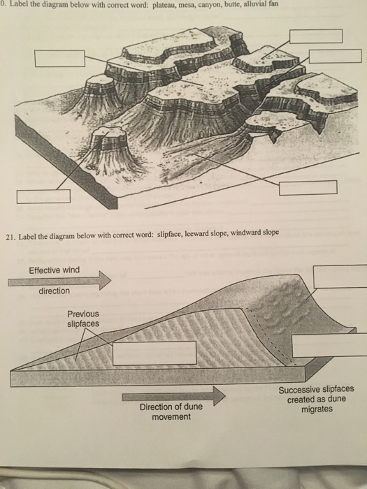 Solved 20. Label the diagram below with the correct word: | Chegg.com