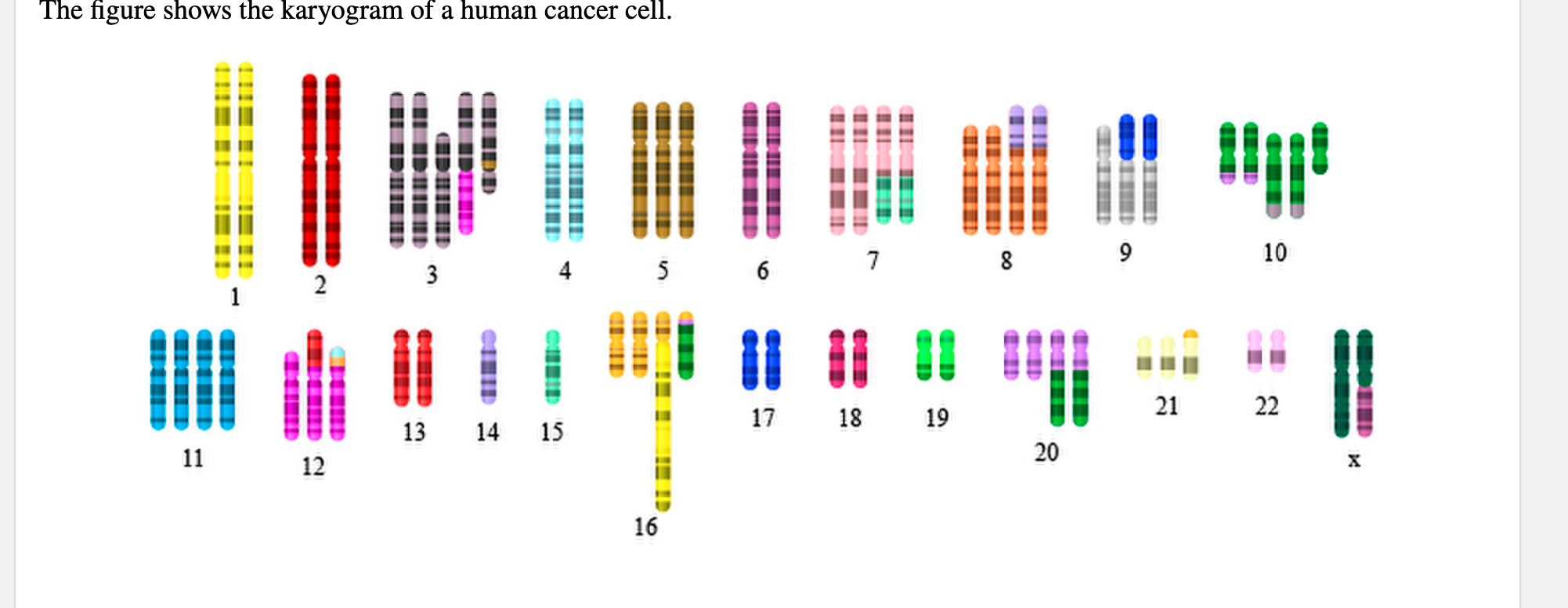 Solved The figure shows the karyogram of a human cancer | Chegg.com