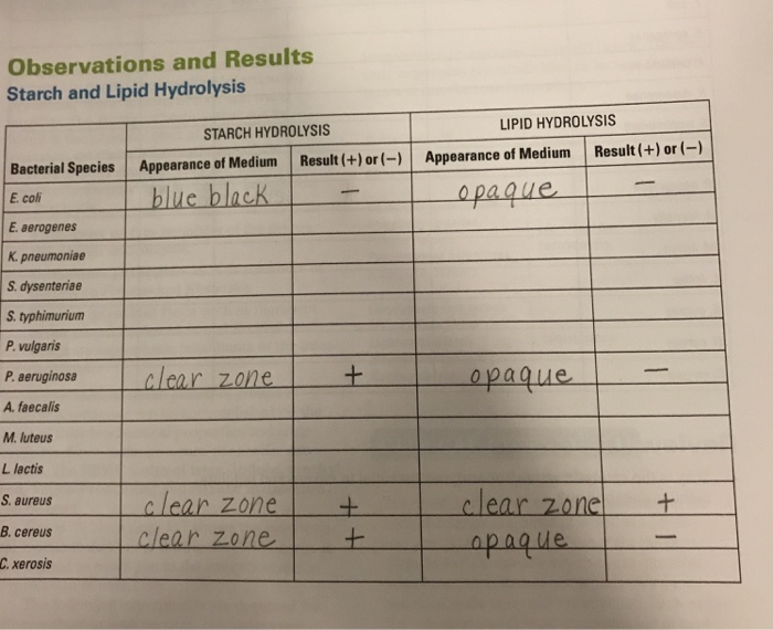 Lipid Hydrolysis Test Microbiology at William Jennings blog