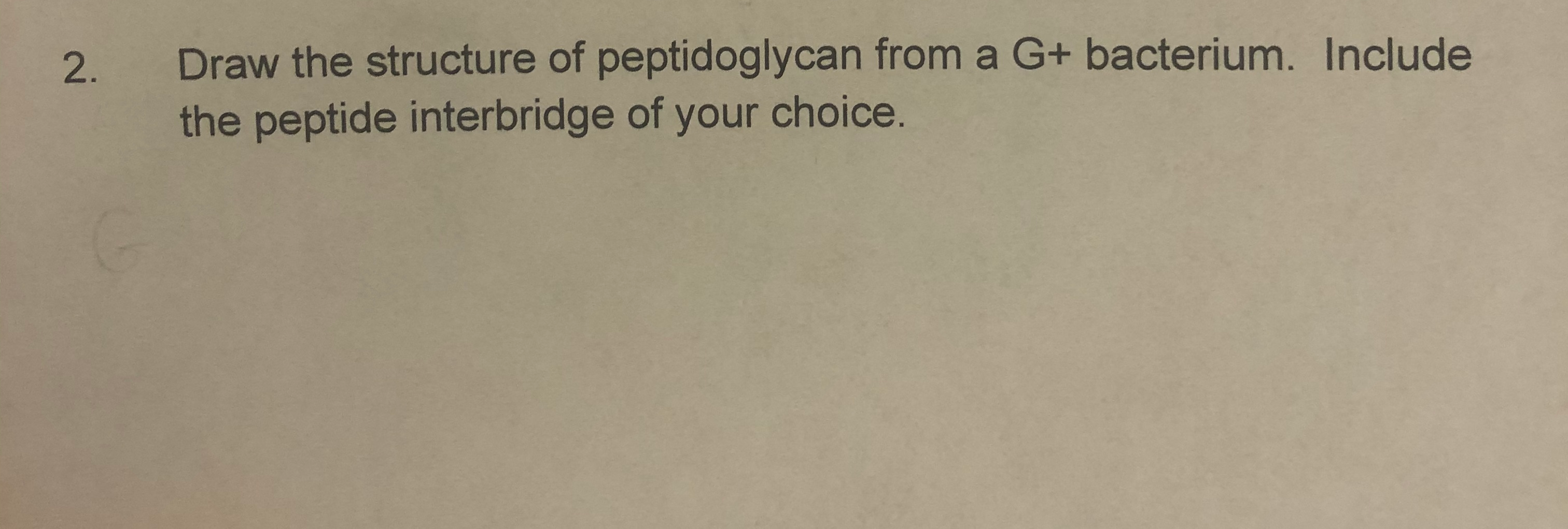 Solved 2. Draw the structure of peptidoglycan from a G+ | Chegg.com