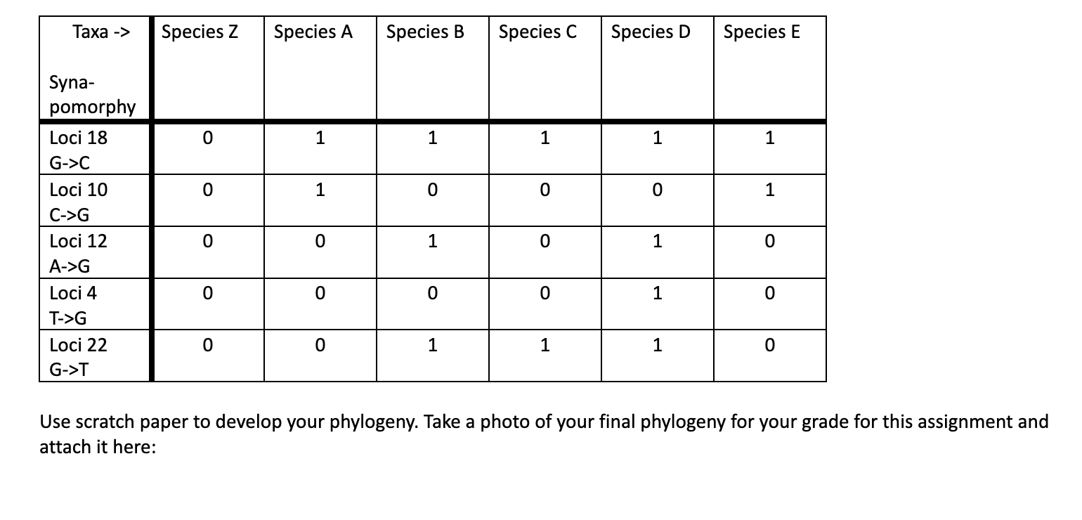 Solved Use scratch paper to develop your phylogeny. Take a | Chegg.com