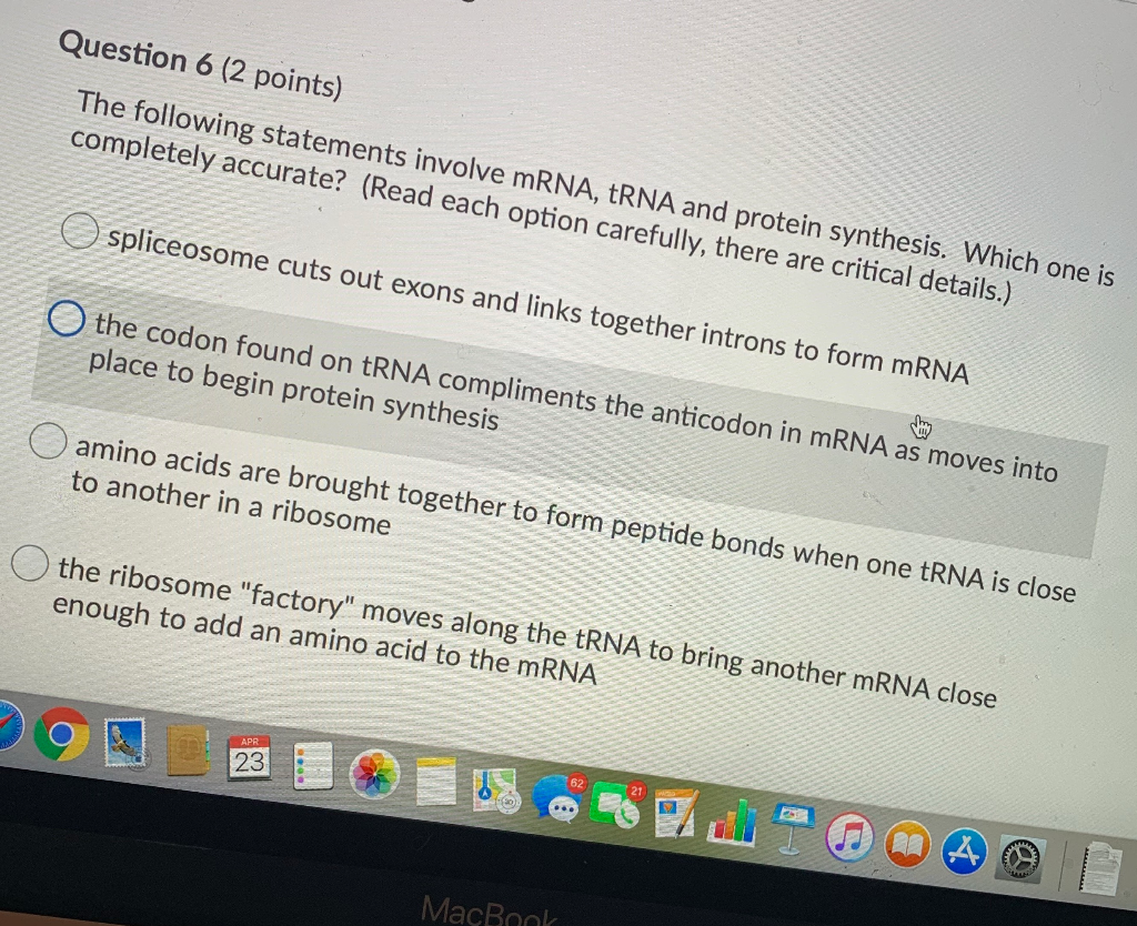 Solved Question 5 (2 points) The informational strand of a | Chegg.com