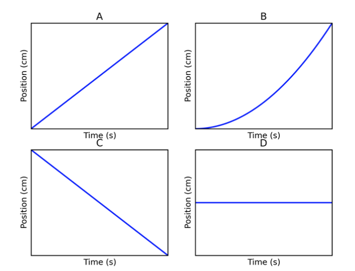 Solved Which of the position vs. time graphs best represents | Chegg.com
