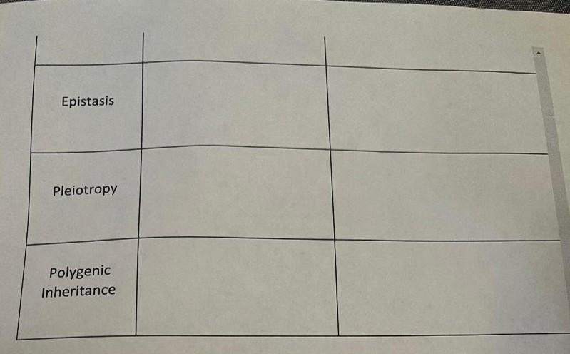 Solved description and examples | Chegg.com