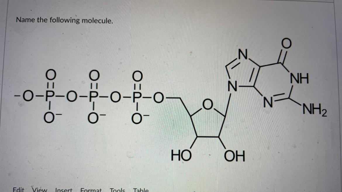 Solved Name the following molecule. | Chegg.com