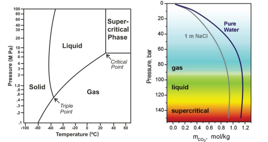 Solved The phase diagram of CO2 (left) and the solubility | Chegg.com