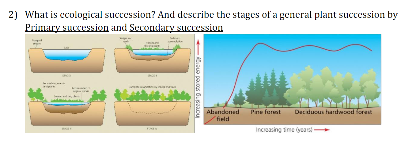Solved What is ecological succession? And describe the | Chegg.com