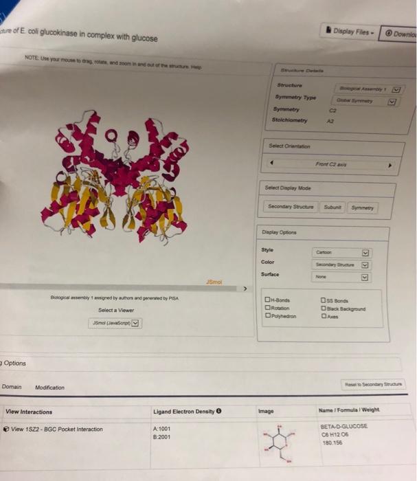 Ribbon Diagrams Show Secondary Structures And Appear Less De