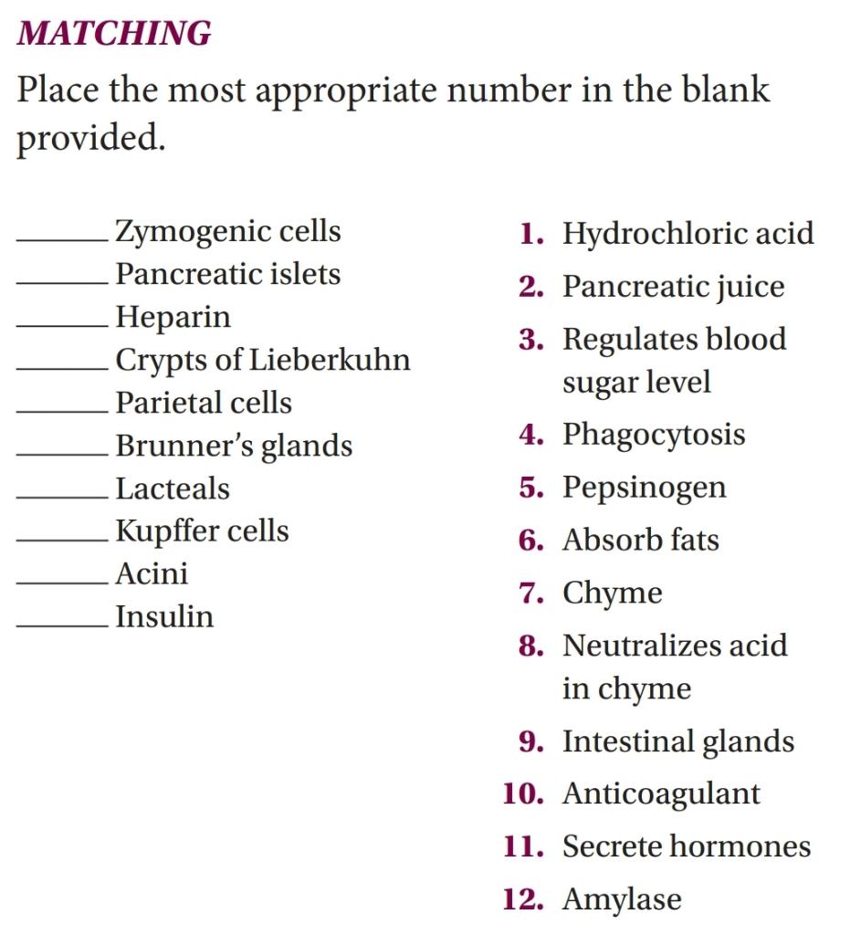 Solved MATCHING Place the most appropriate number in the | Chegg.com