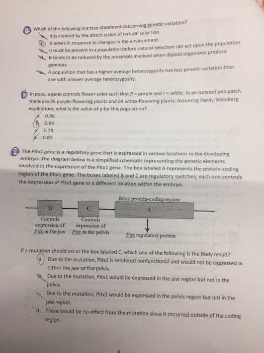 Solved C Which of the following is a true statement | Chegg.com