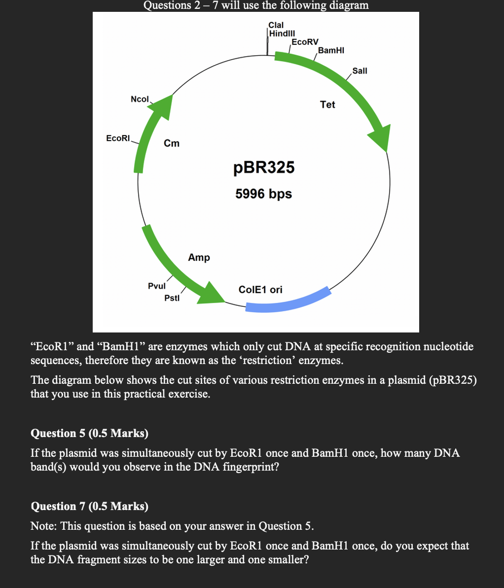 Solved Questions 2−7 will use the following diagram "EcoR1" | Chegg.com