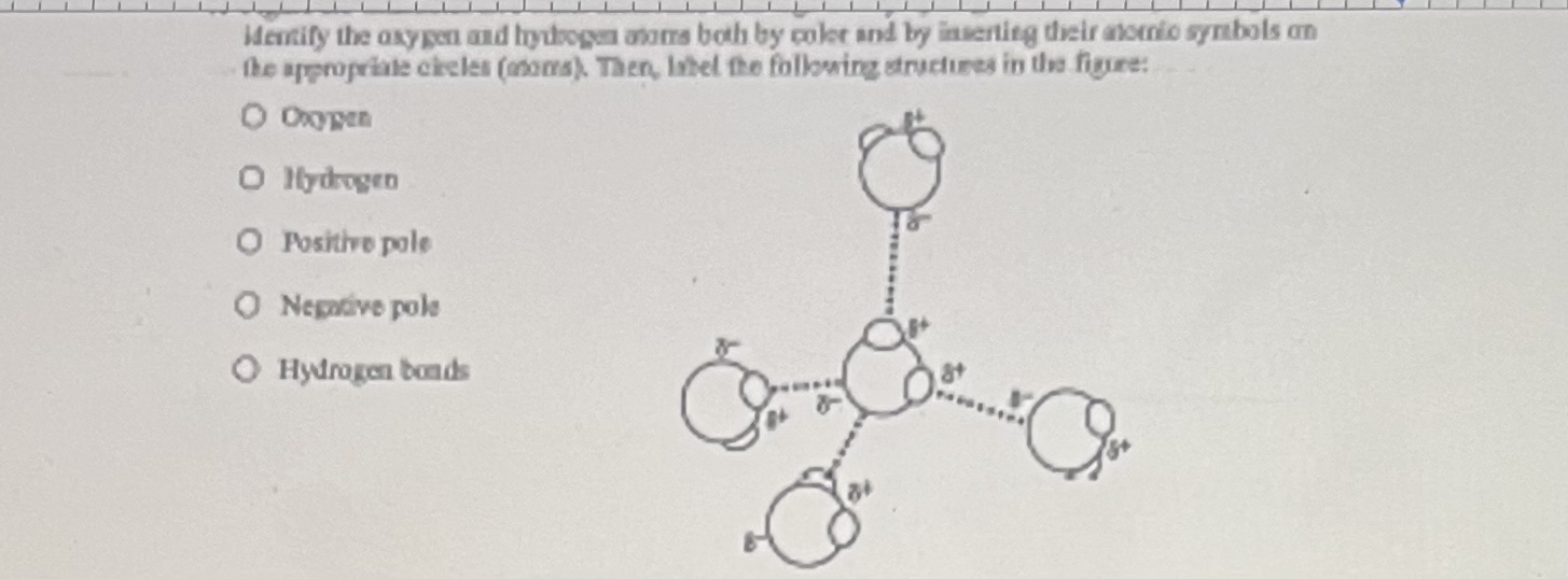 Solved Figure 2.3 illustrates five water molecules held | Chegg.com