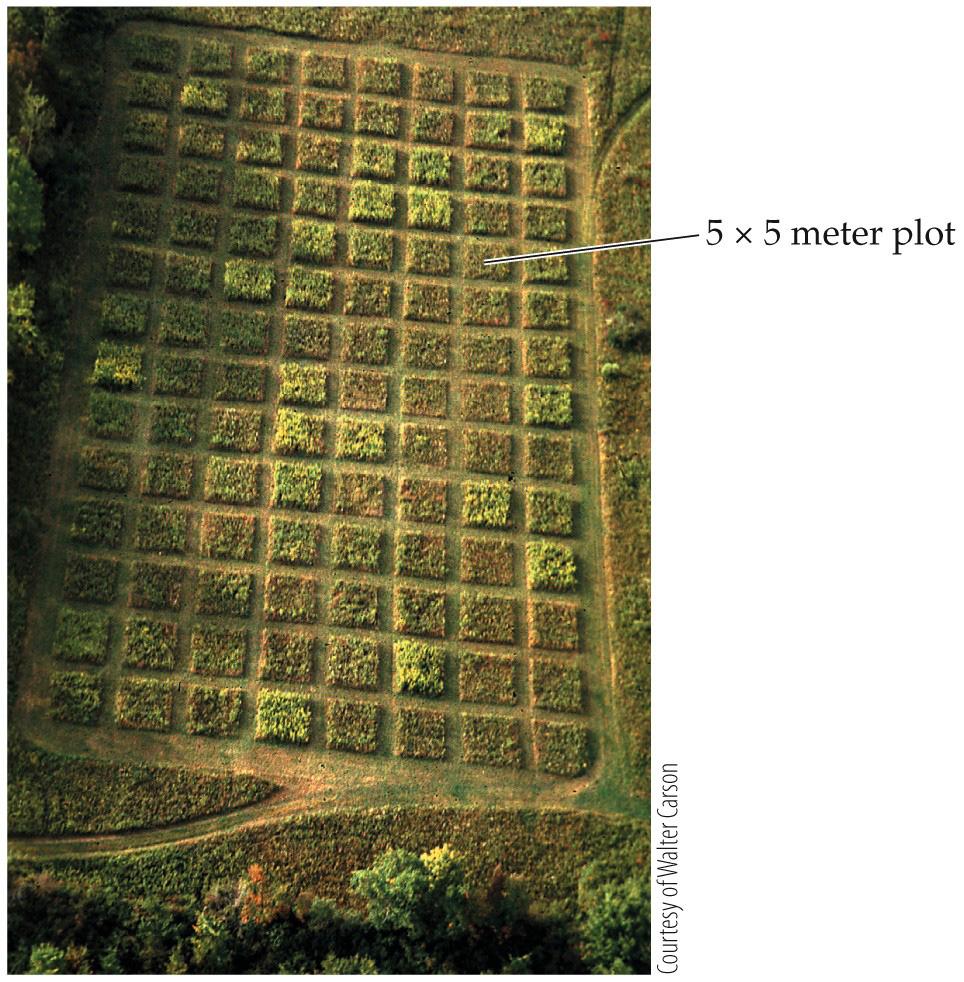 Solved The figure shows a field set up to do controlled | Chegg.com