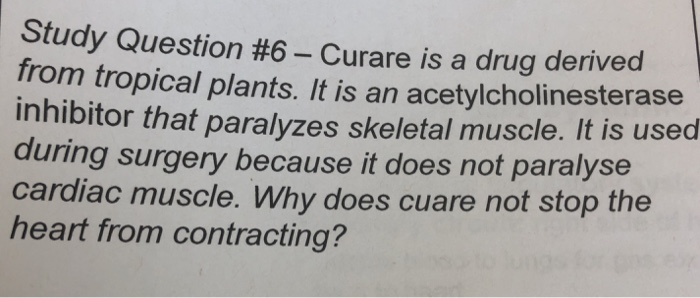 Solved Study Question #6-Curare is a drug derived from | Chegg.com