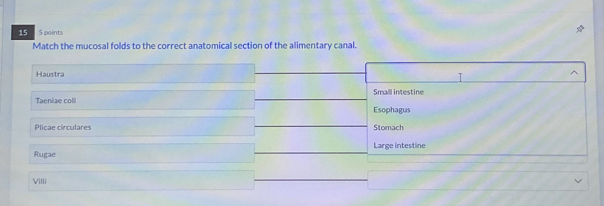 Solved 5 points Match the mucosal folds to the correct | Chegg.com
