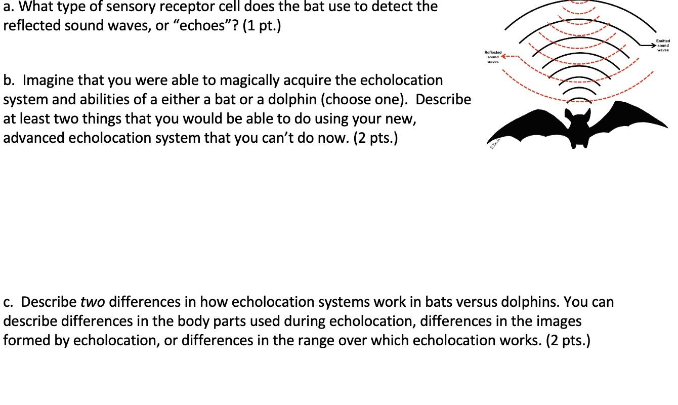 Solved a. What type of sensory receptor cell does the bat | Chegg.com