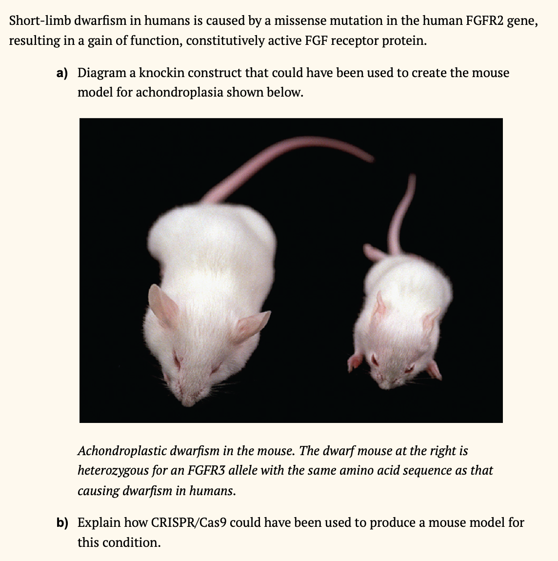 Solved Short-limb dwarfism in humans is caused by a missense | Chegg.com
