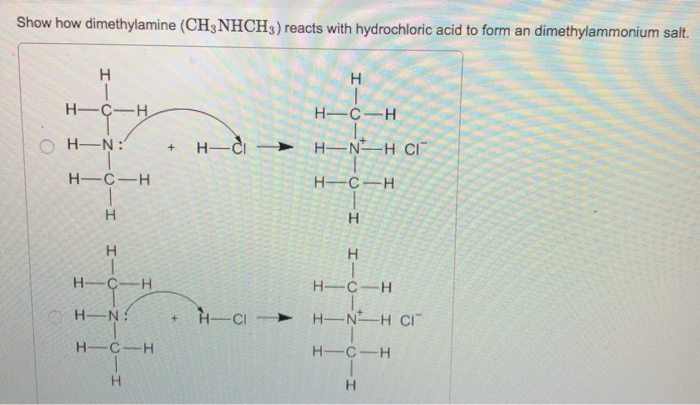 Solved Show how dimethylamine (CH3NHCHs) reacts with | Chegg.com
