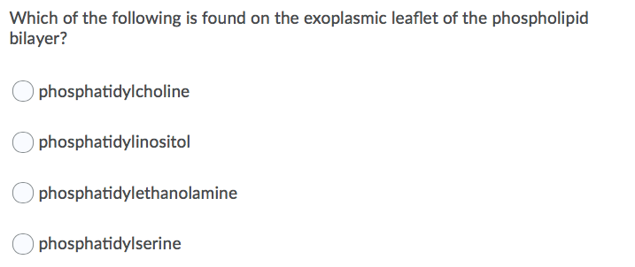 Solved Which of the following is found on the exoplasmic | Chegg.com