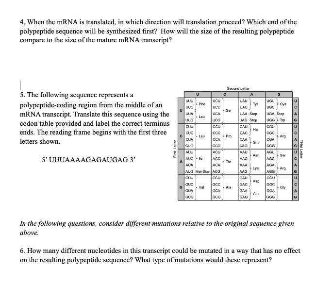 Solved 4. When the mRNA is translated, in which direction | Chegg.com