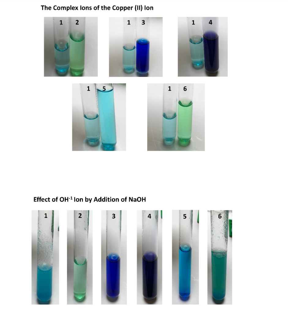 Solved The Complex lons of the Copper(II) lon Test Tube # | Chegg.com