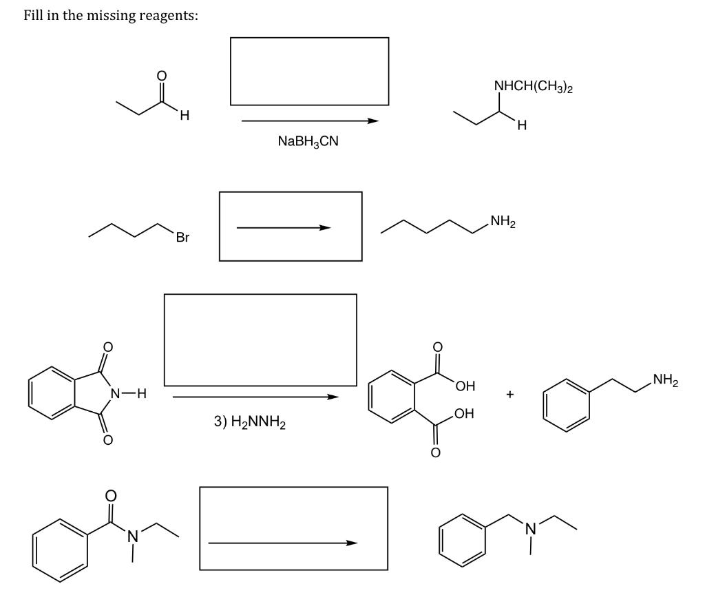 Solved Fill in the missing reagents: NHCH(CH3)2 H H NaBH2CN | Chegg.com