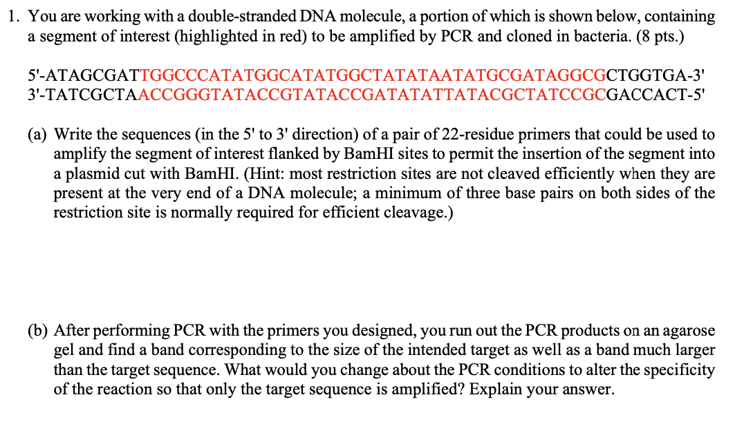 Solved You are working with a double-stranded DNA molecule, | Chegg.com