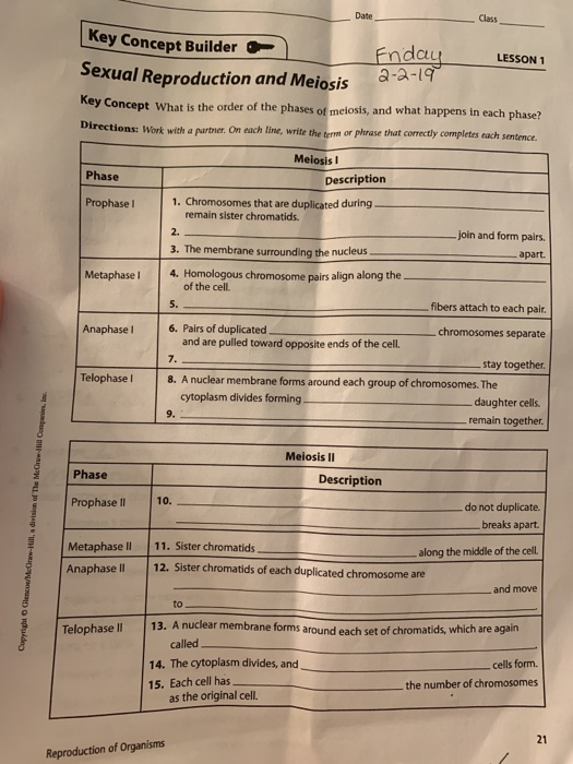 Chromosomes And Cell Reproduction Worksheet Answers Promotiontablecovers