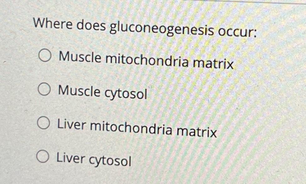 Solved Where does gluconeogenesis occur: O Muscle | Chegg.com