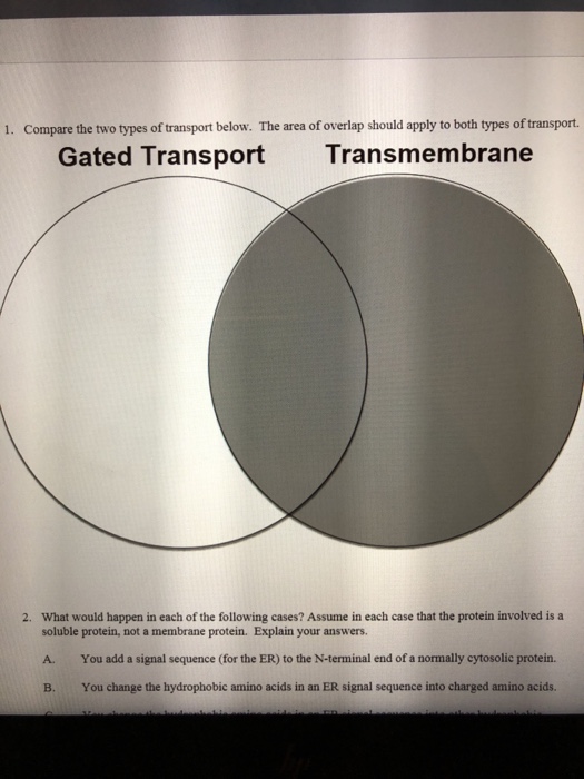 Solved 1. Compare the two types of transports: gated | Chegg.com