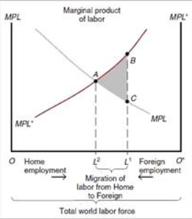 Gravity Model Of Migration