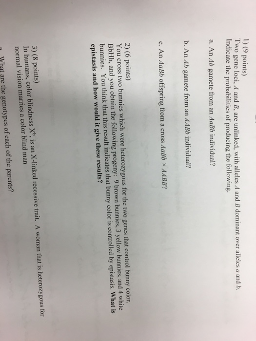 Solved Two gene loci, A and B, are unlinked, with alleles A | Chegg.com