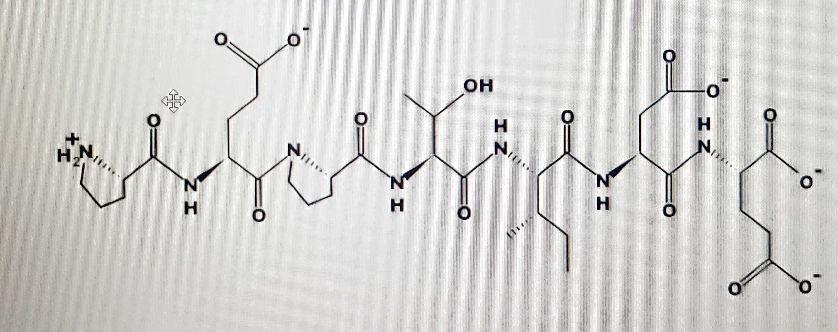 Solved 1a) What is the one letter code for the peptide drawn | Chegg.com