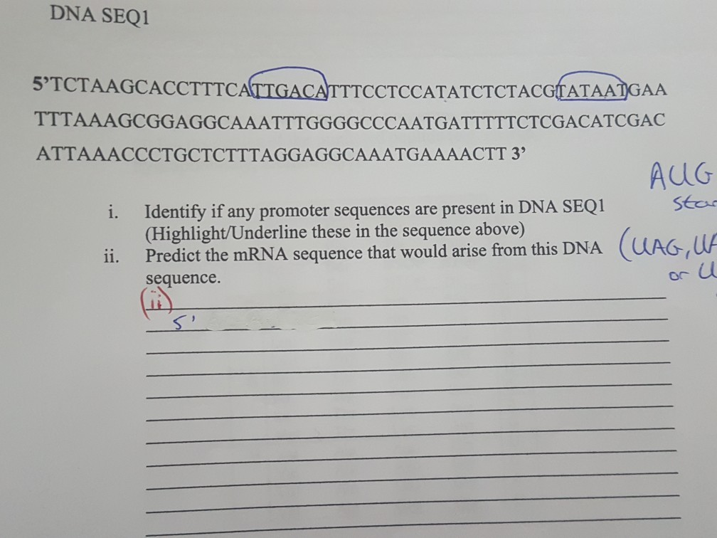 Solved DNA SEQ1 S TCTAAGCACCTIGACATTIC | Chegg.com