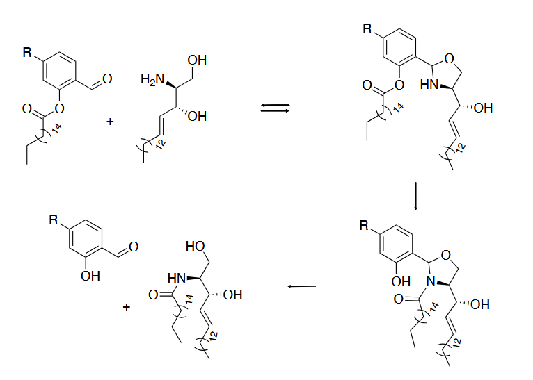 Solved Can you provide me the detailed mechanism (with | Chegg.com