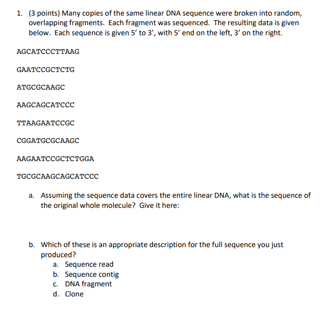 Solved 1. (3 points) Many copies of the same linear DNA | Chegg.com