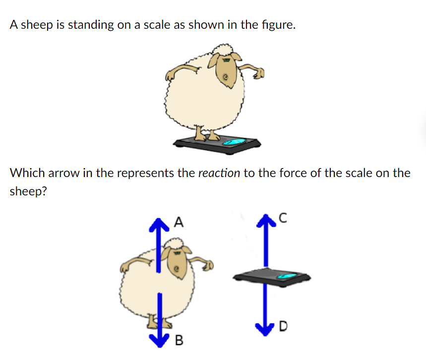 Solved A sheep is standing on a scale as shown in the | Chegg.com