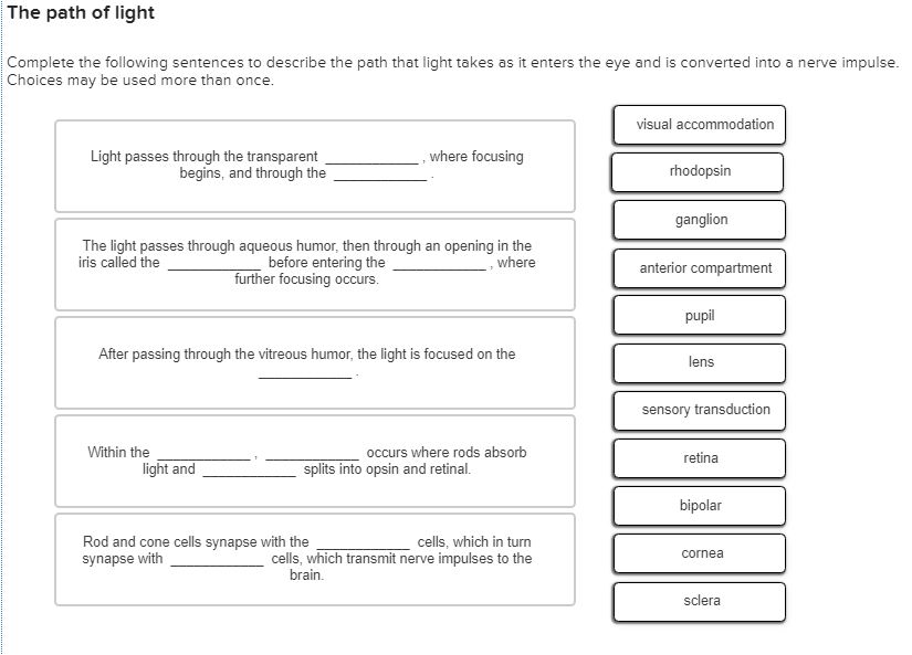 Solved The path of light Complete the following sentences to | Chegg.com