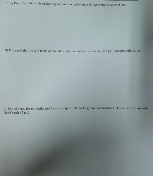 Solved 6. A) Describe Hebb's rule of learning for both | Chegg.com