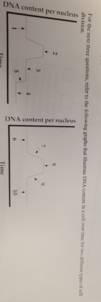 Solved DNA content per nucleus DNA content per nucleus For | Chegg.com