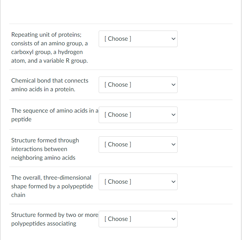 Solved [Choose ] Repeating unit of proteins; consists of an | Chegg.com