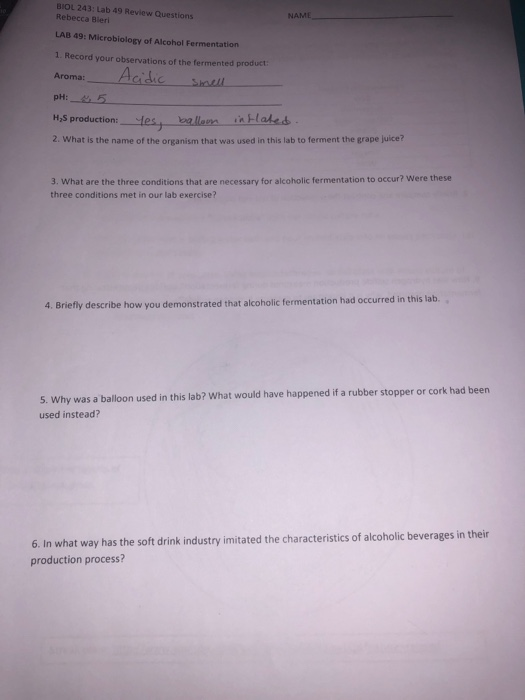 Solved BIOL 243: Lab 49 Review Questions Rebecca Bieri LAB | Chegg.com