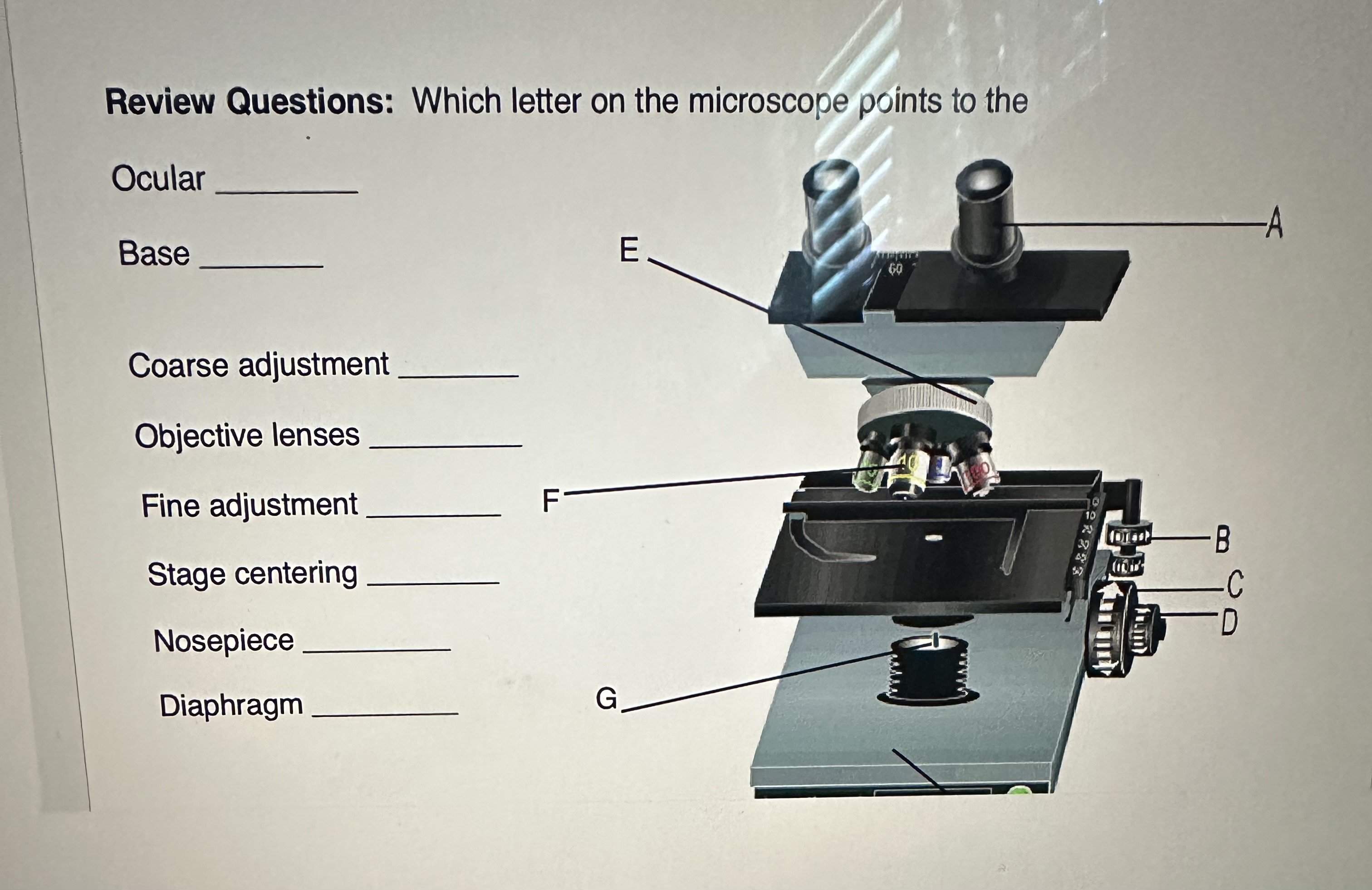 Solved Review Questions: Which letter on the microscope | Chegg.com