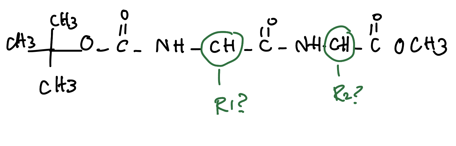 Solved I was given an unknown dipeptide and I need to | Chegg.com