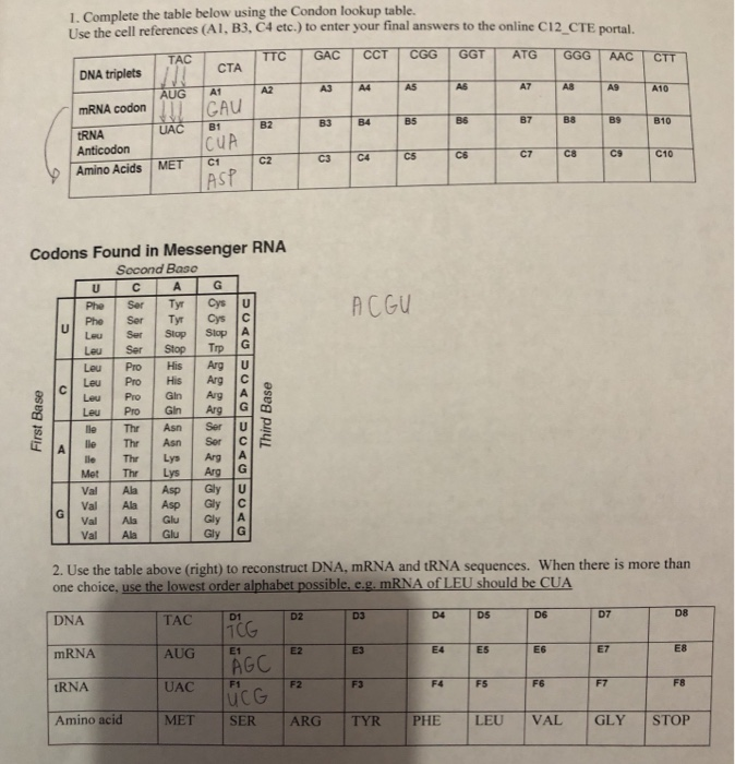 Solved 1. Complete the table below using the Condon lookup | Chegg.com