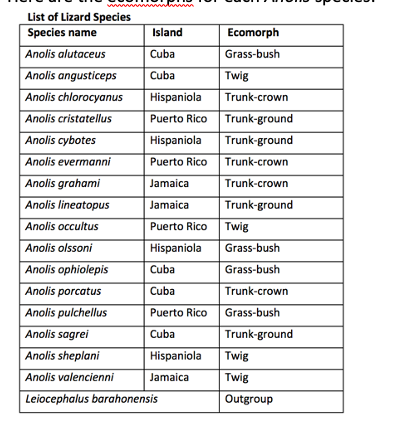 Solved Table 1. Six Ecomorphs of Anole Lizards Found in the | Chegg.com
