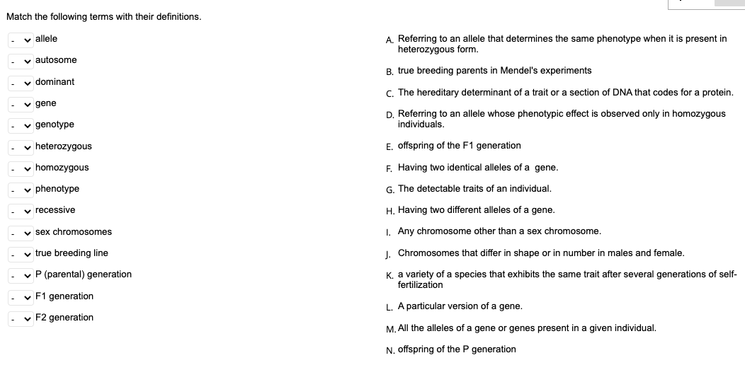 Solved Match the following terms with their definitions. | Chegg.com