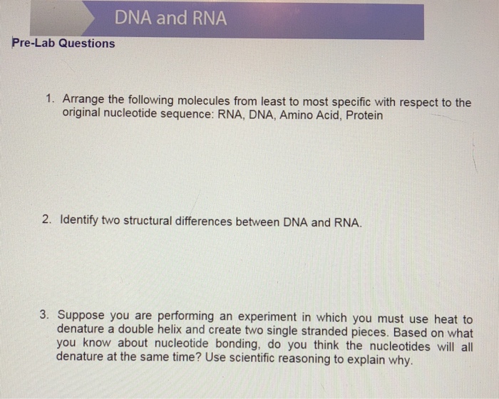 Solved DNA and RNA Pre-Lab Questions 1. Arrange the | Chegg.com